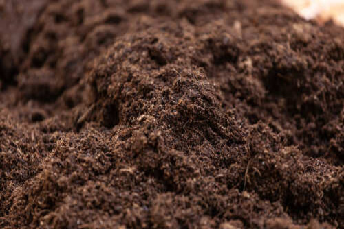Types of Soil for Home Foundations & Construction | UltraTech Cement